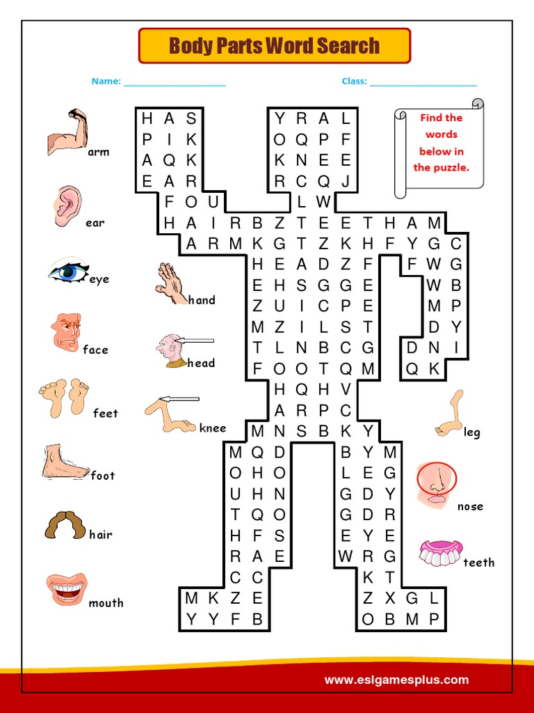 Sopa de Letras: Partes del Cuerpo | PDF