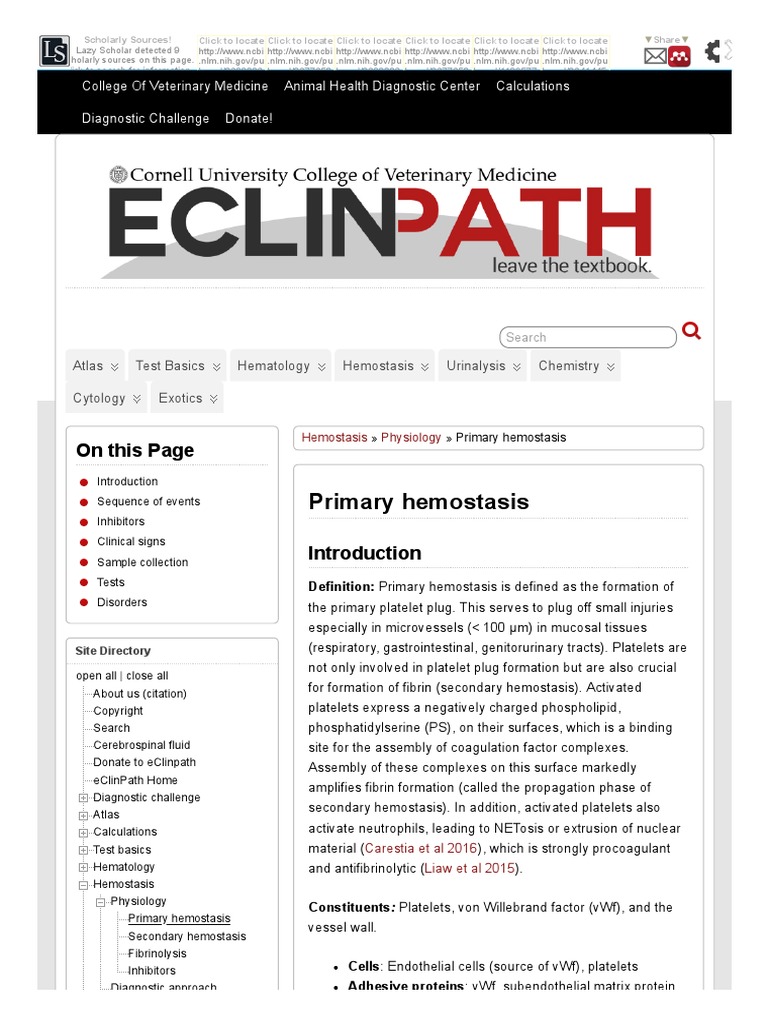 Primary Hemostasis - Eclinpath | PDF | Coagulation | Platelet