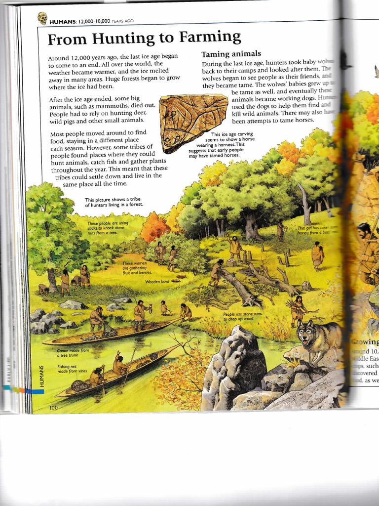 04history5 From Hunting To Farming | PDF | Hunting | Animals And Humans