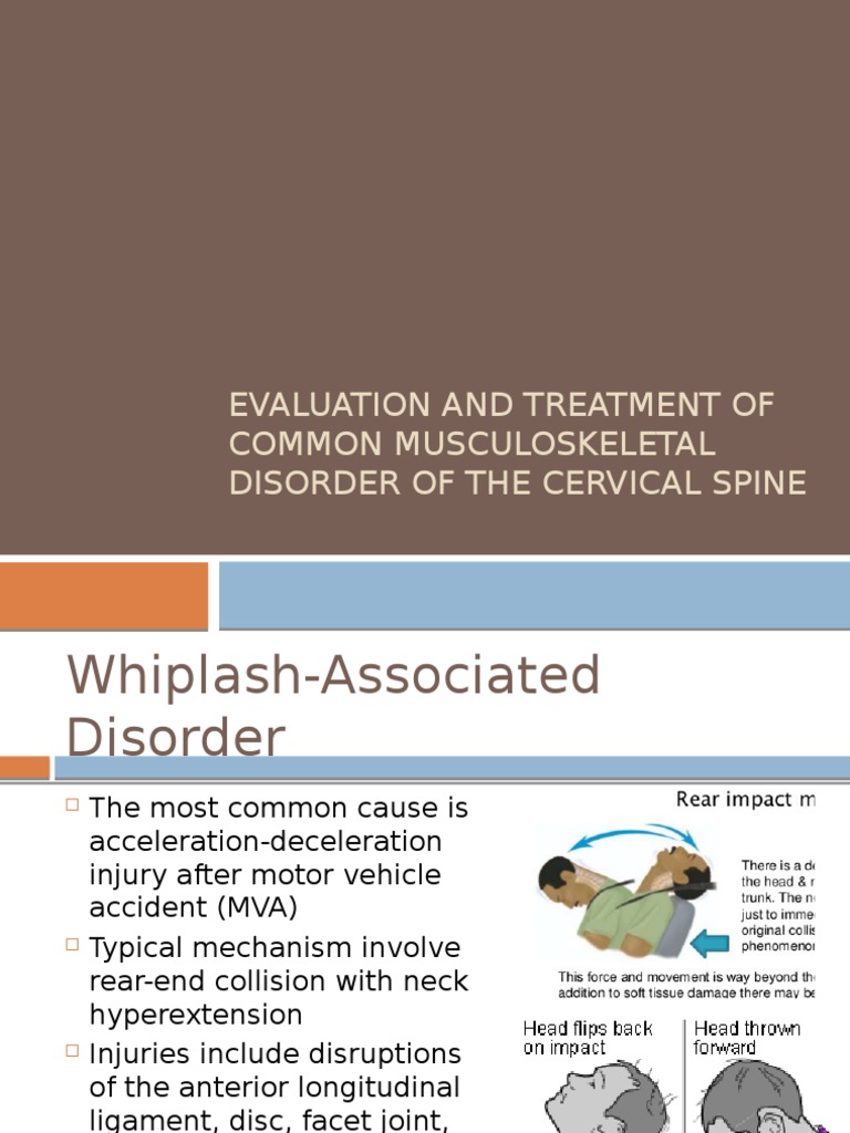 Cervical Part2 | PDF | Spinal Cord | Musculoskeletal System