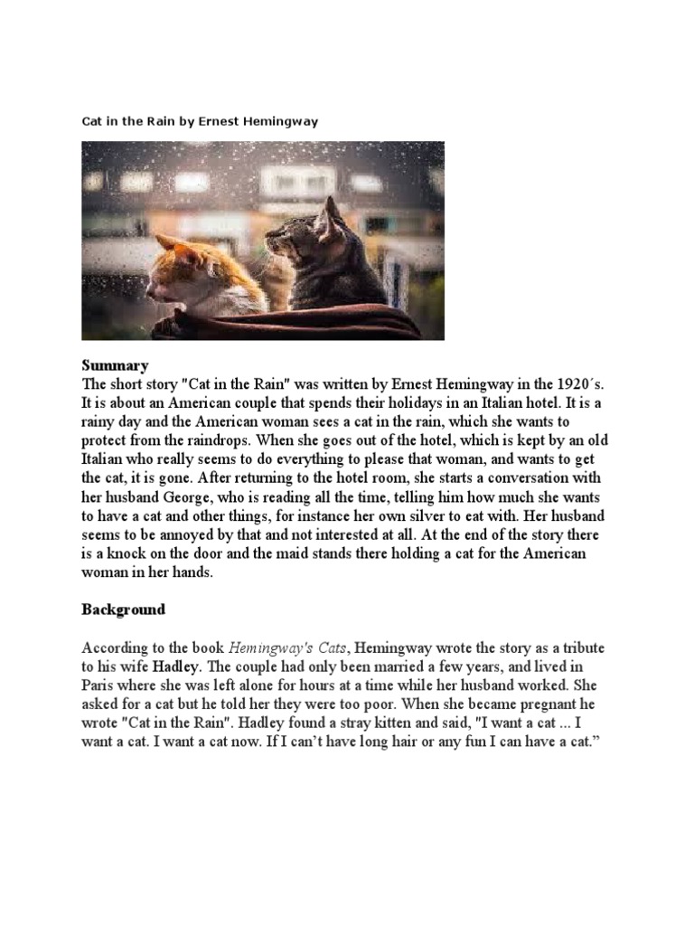 An In-Depth Analysis of Ernest Hemingway's Short Story 'Cat in the Rain ...