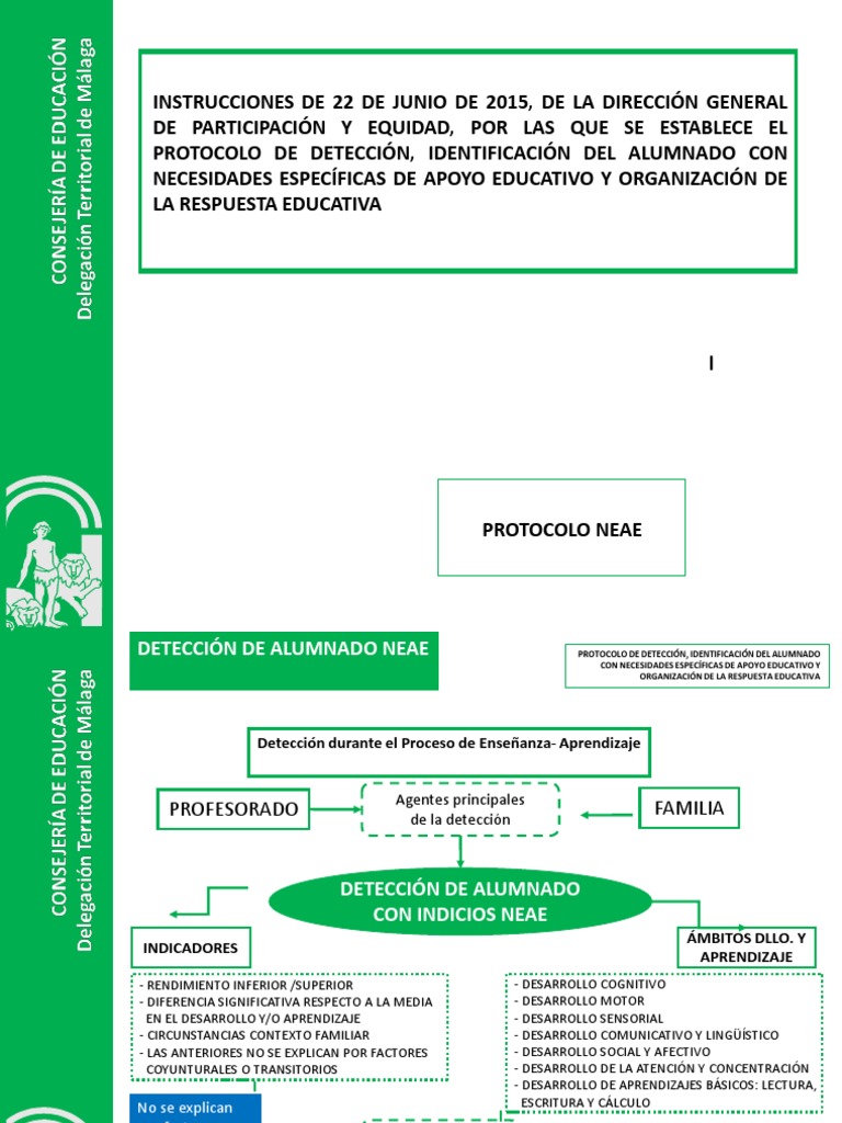 Presentación Protocolo-Neae Diapositivas-Reducidas 22-06-2015 | PDF | Evaluación | Aprendizaje