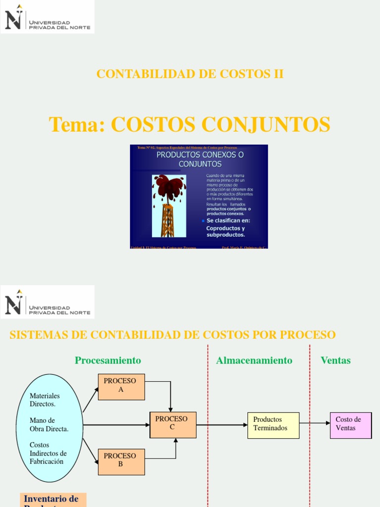 Tema Costos Conjuntos | PDF | Costo | Producción y fabricación