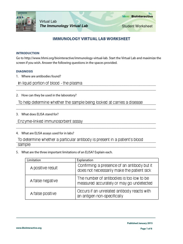 Immunology Lab Worksheet Student | PDF | Elisa | Immunology