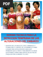 Carnet Del Embarazo | PDF