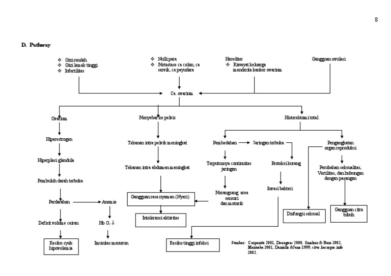 Pathway Kanker Ovarium dan Histerektomi | PDF