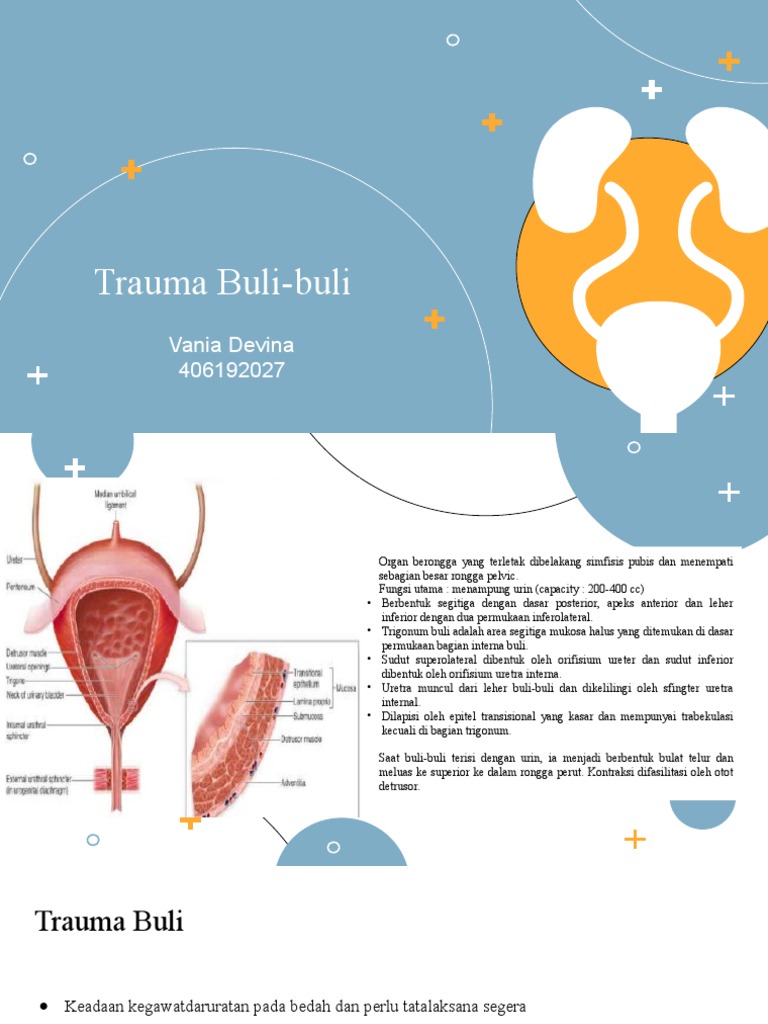 Trauma Buli | PDF