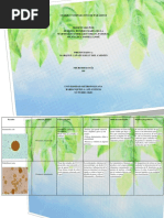 Retortamonas intestinalis: Protozoo Intestinal | PDF | Biología | Medicina
