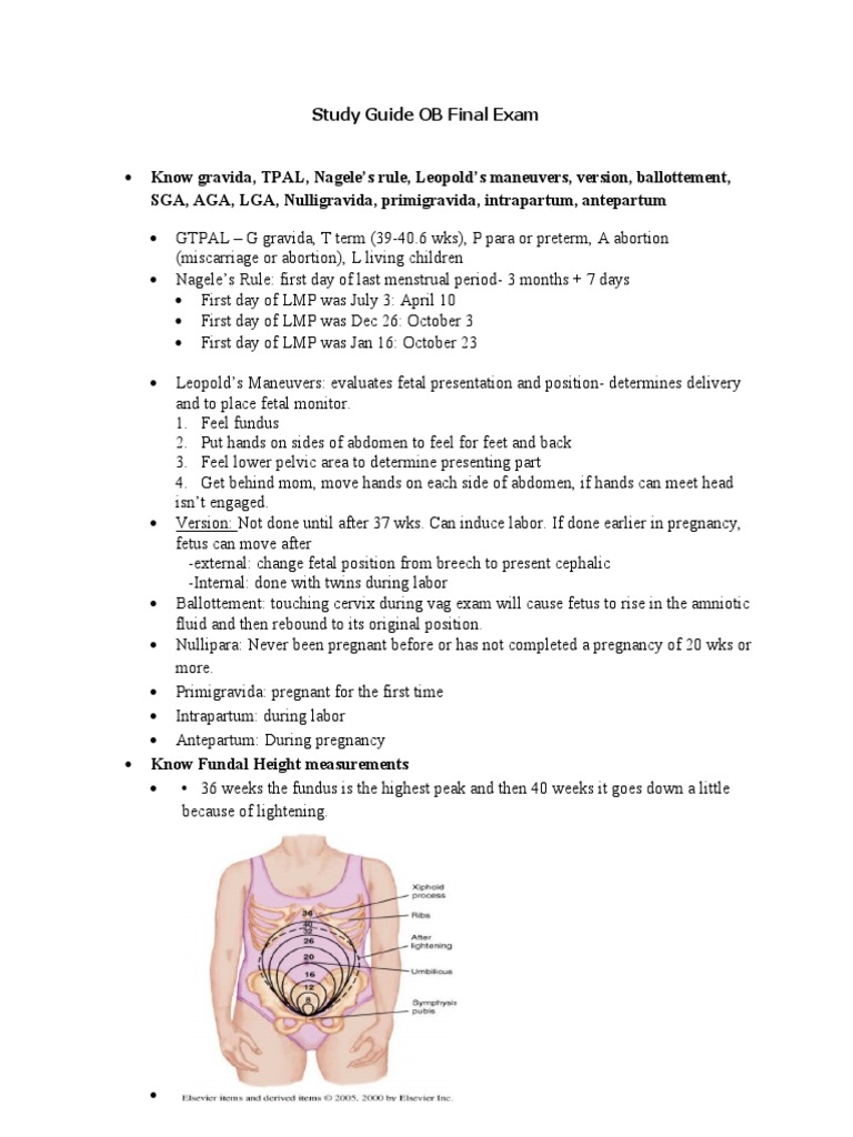 OB Final Exam Study Guide | PDF | Fetus | Human Pregnancy