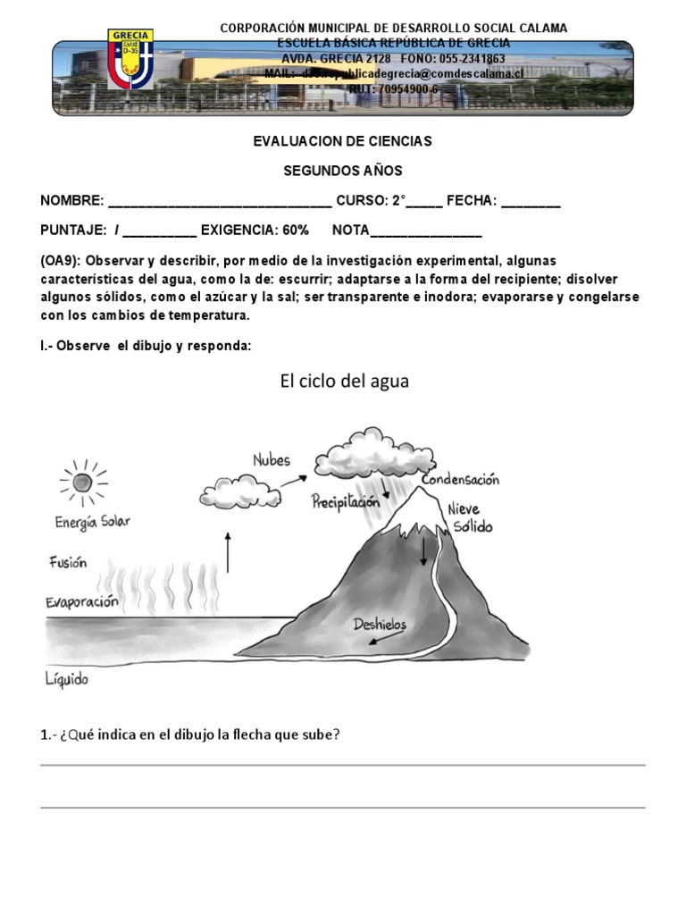 EVALUACION Ciclo Del Agua | PDF | El ciclo del agua | Agua
