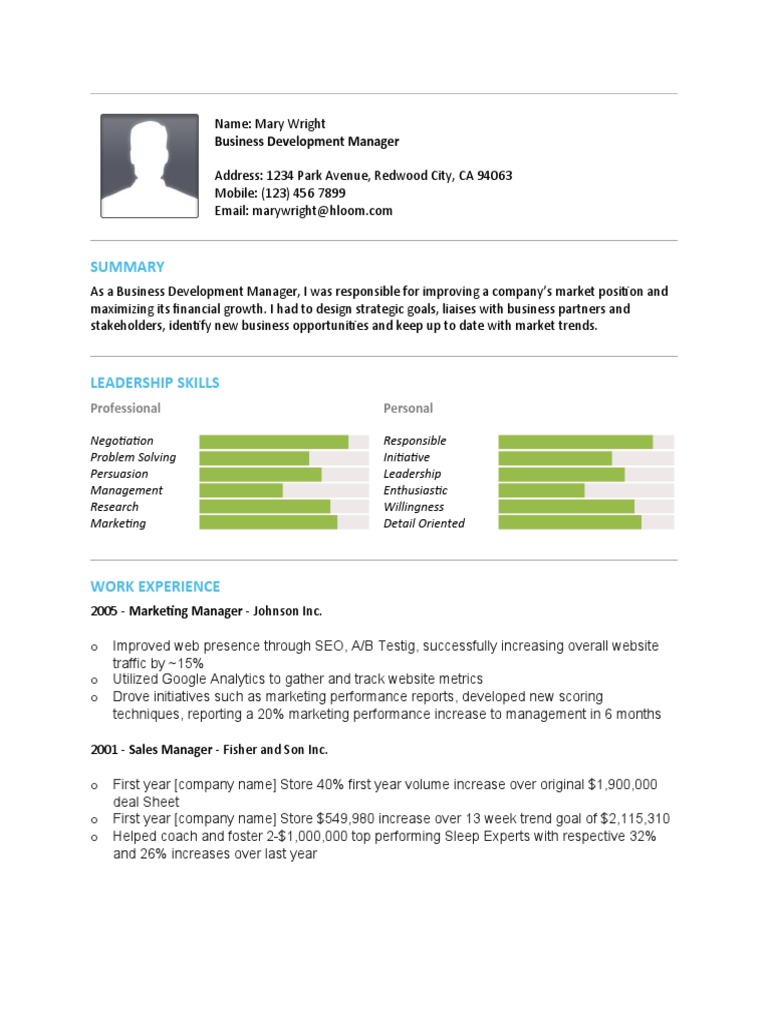 Business Development Manager: Professional Personal | PDF | Analytics ...