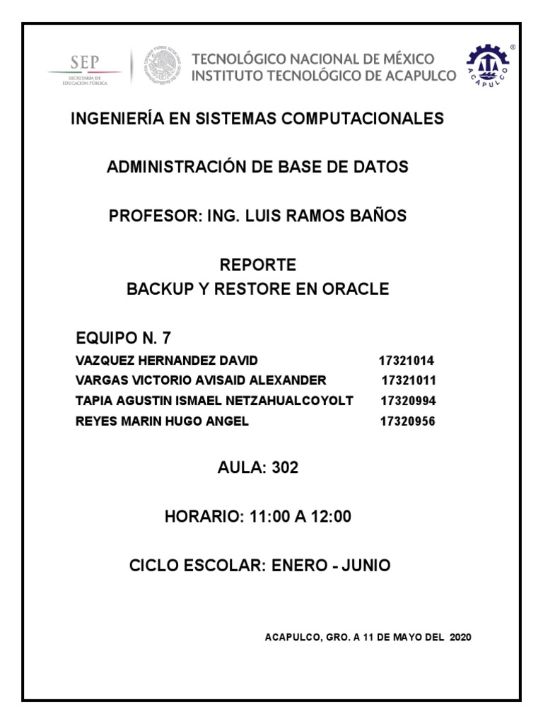 Reporte Backup y Restore en Oracle | PDF | Apoyo | Bases de datos