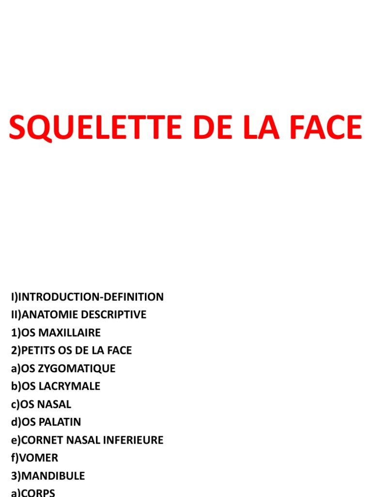 Anatomie des Os de la Face | PDF | Tête et cou chez l'humain | Système ...