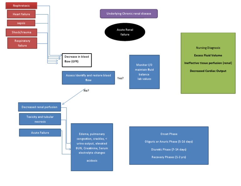 Renal Failure Concept Map | PDF
