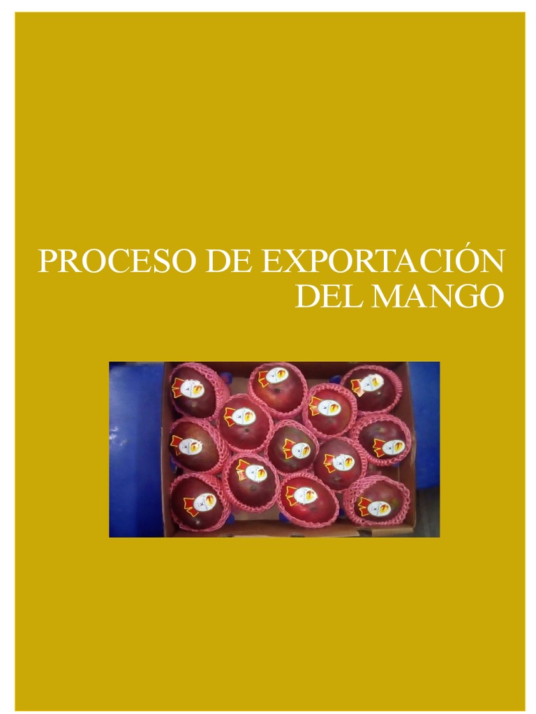 Trabajo Final Metodos Mango | PDF | Mango | Factores humanos y ergonomía