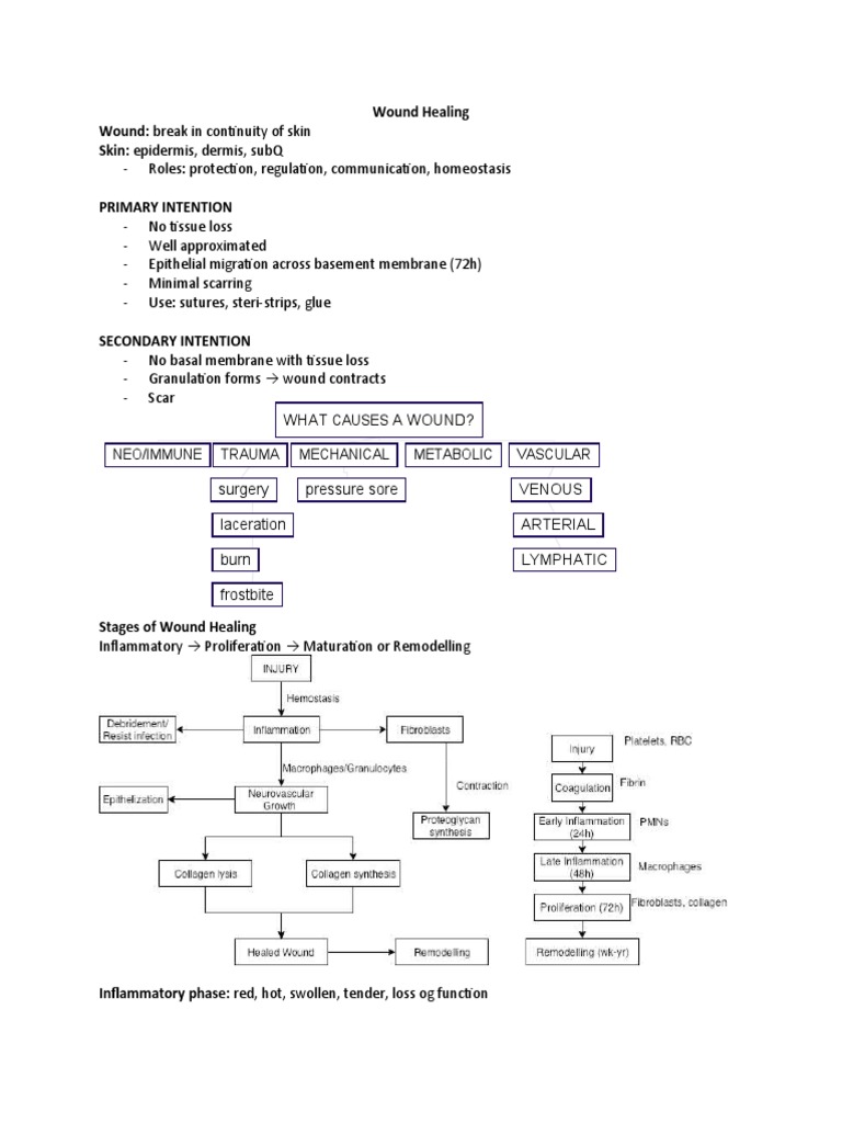 Wound Healing Summary | PDF | Wound Healing | Clinical Medicine