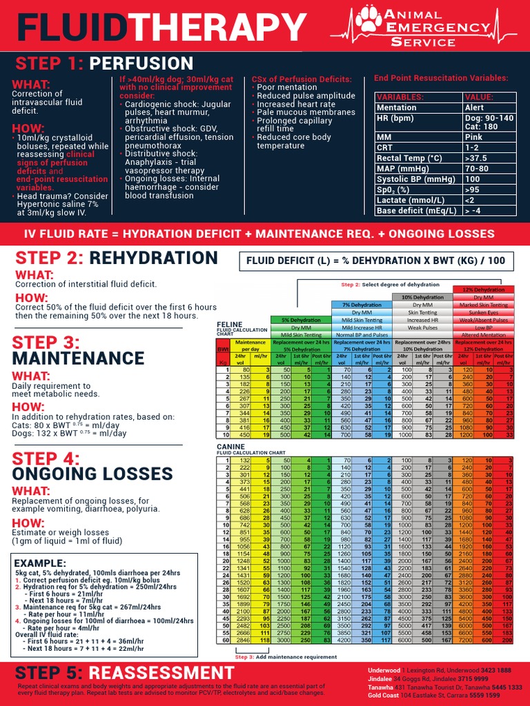 AES - FluidChart 2020 | PDF | Shock (Circulatory) | Dehydration
