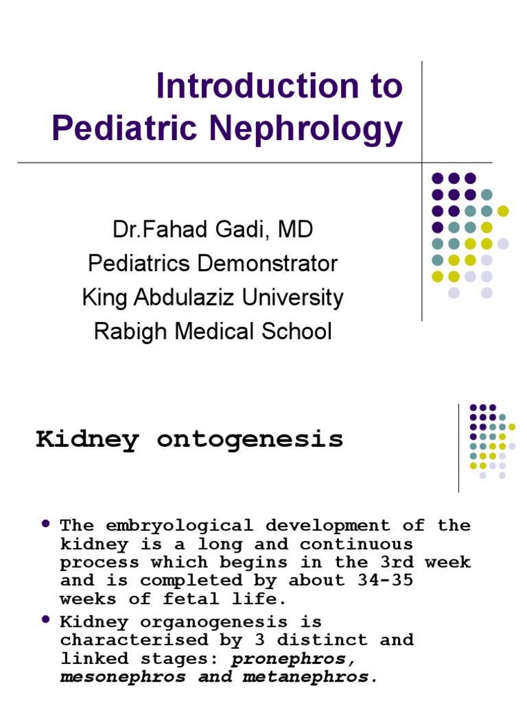 Nephrology Pediatrics | PDF | Kidney | Human Anatomy