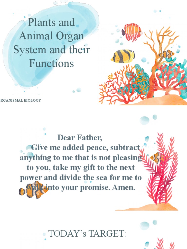 Plant and Animal Organ System and Their Functions | PDF | Cell Nucleus ...