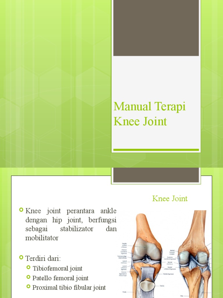 Manual Terapi Knee Joint Mobilization | PDF