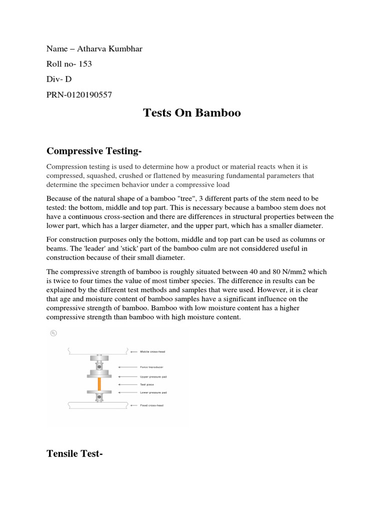 Tests On Bamboo: Compressive Testing | PDF | Strength Of Materials ...