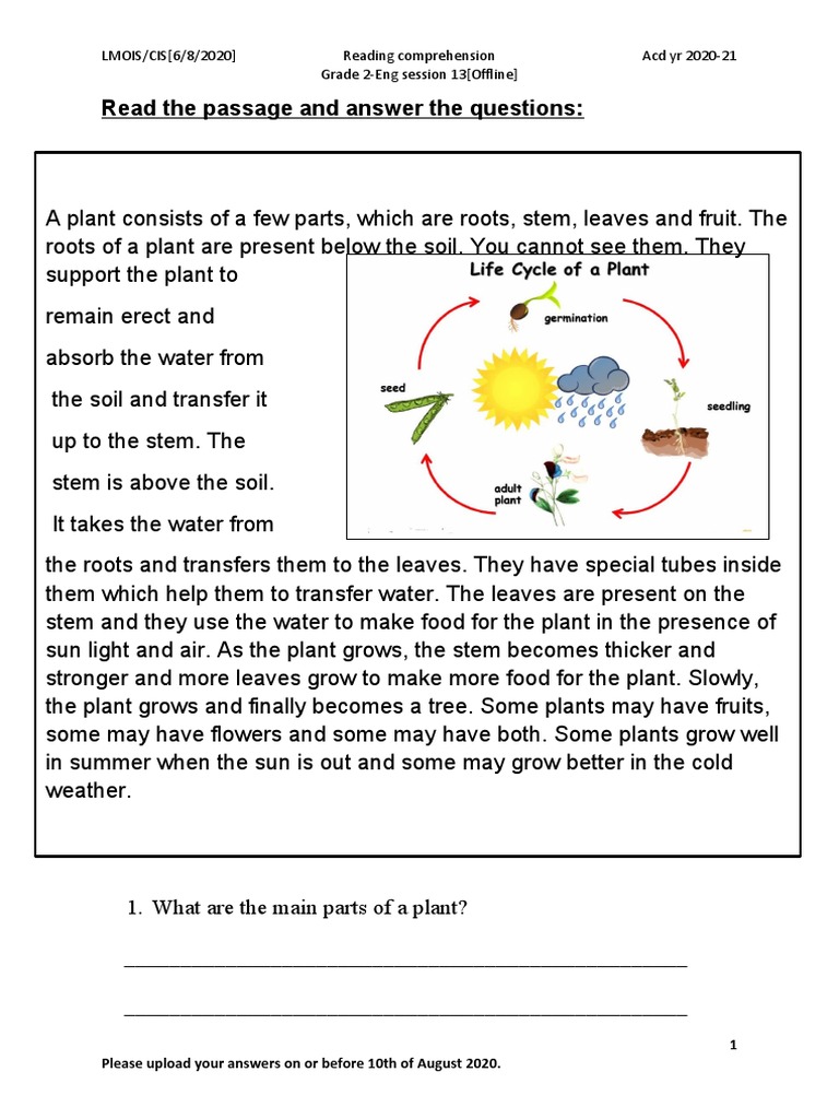 Read The Passage and Answer The Questions | PDF | Root | Plants