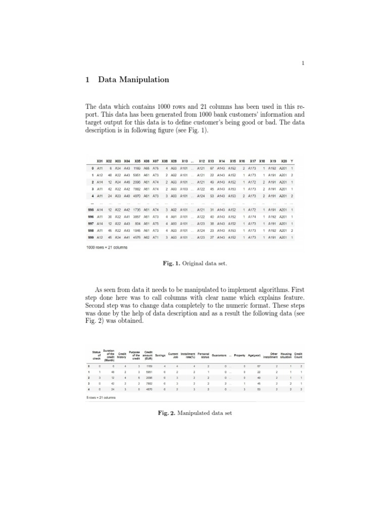 Data Science Report | PDF | Cluster Analysis | Principal Component Analysis
