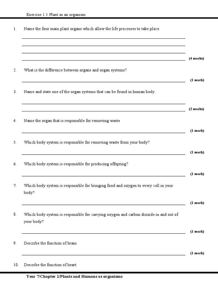 Year 7/chapter 1/plants and Humans As Organisms: (4 Marks) | PDF ...