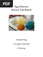 Potato Osmosis Lab Report | PDF | Osmosis | Experiment