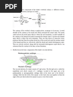 Dogfish Shark Anatomy Overview | PDF | Gill | Stomach