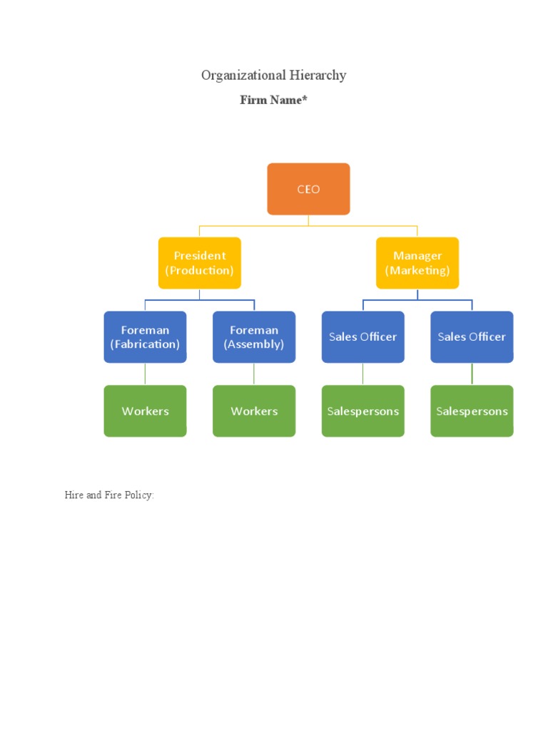 Organizational Hierarchy | PDF