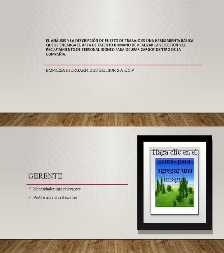 Expo Cision | PDF | Informática