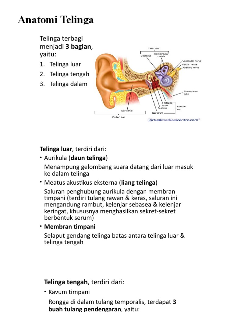 Fachri | PDF