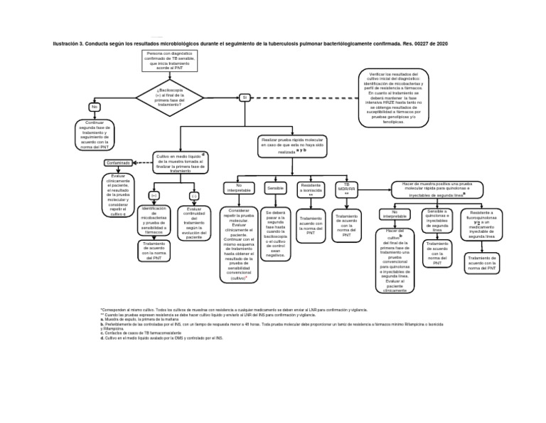 Algoritmo de Seguimiento TB | PDF | Tuberculosis | Enfermedades y ...