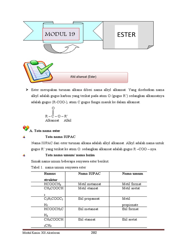 Modul 19-Xii-Ester | PDF