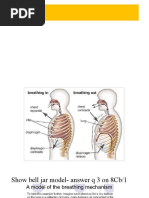 BrodytheCuber's F2L Flowchart | PDF