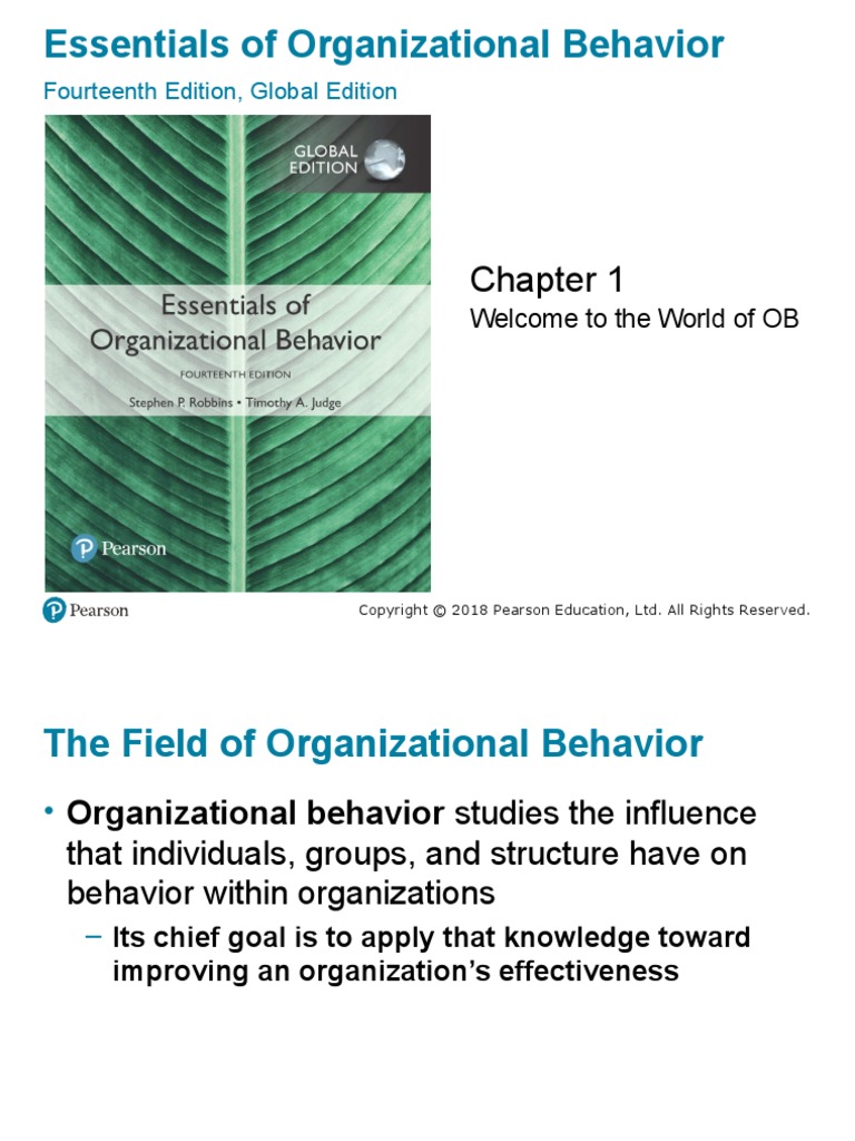CH 1 Introduction To OB | PDF | Organizational Behavior | Leadership