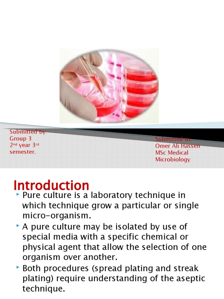 Pure Culture Techniques | PDF | Growth Medium | Bacteria