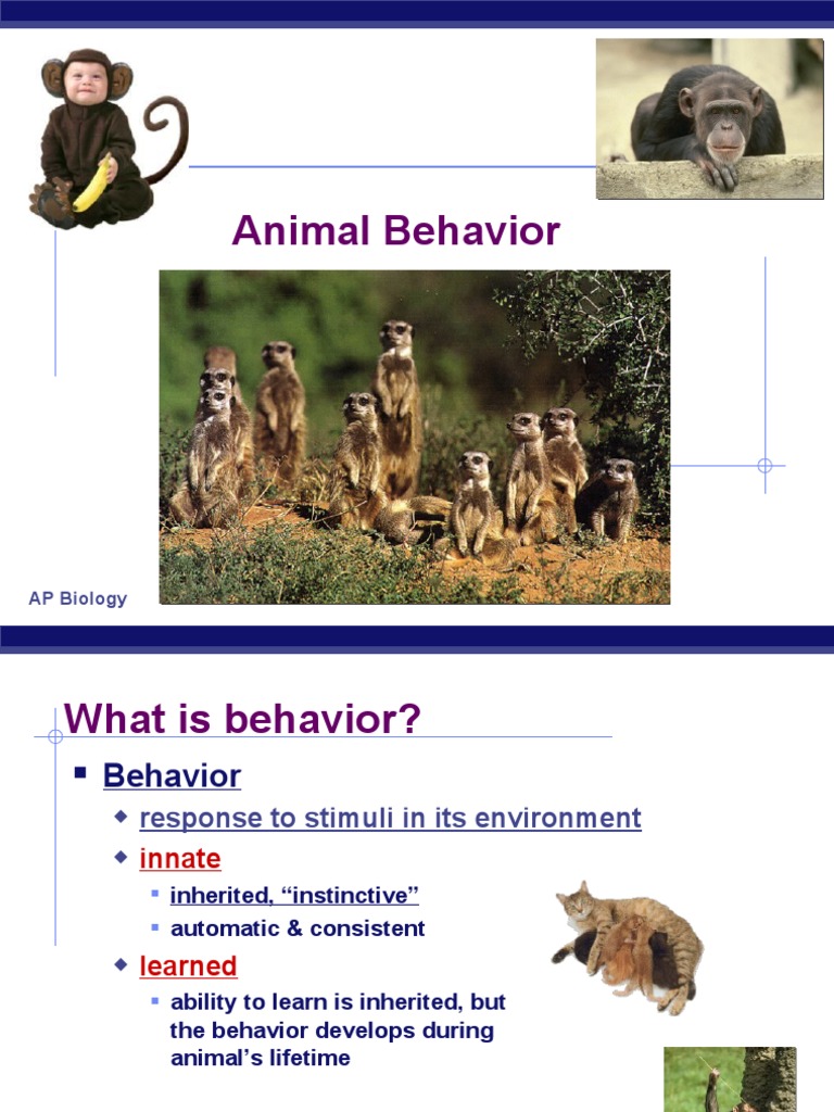 3 PP Animal Behavior | PDF | Classical Conditioning | Ethology