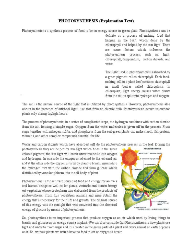 PHOTOSYNTHESIS (Explanation Text) | PDF | Photosynthesis | Biochemistry