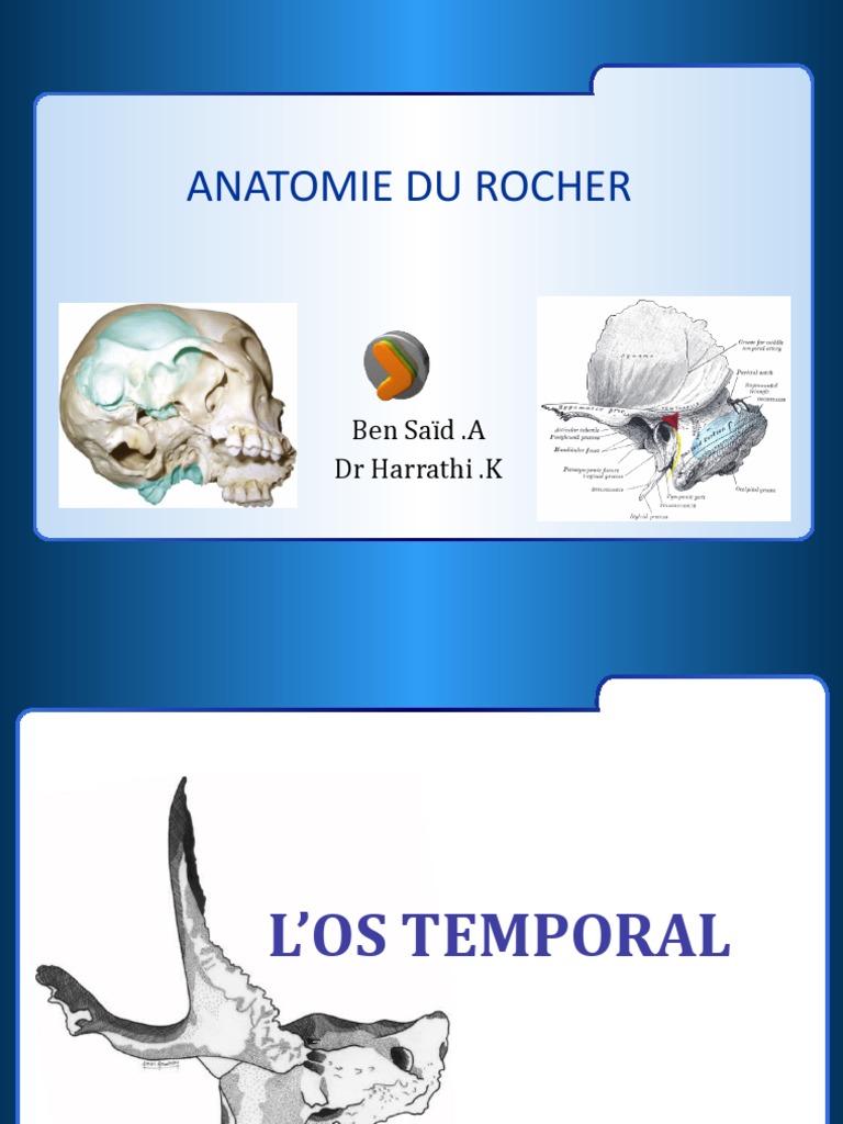 Anatomie du Rocher Temporal | PDF | Système vestibulaire | Tête et cou ...