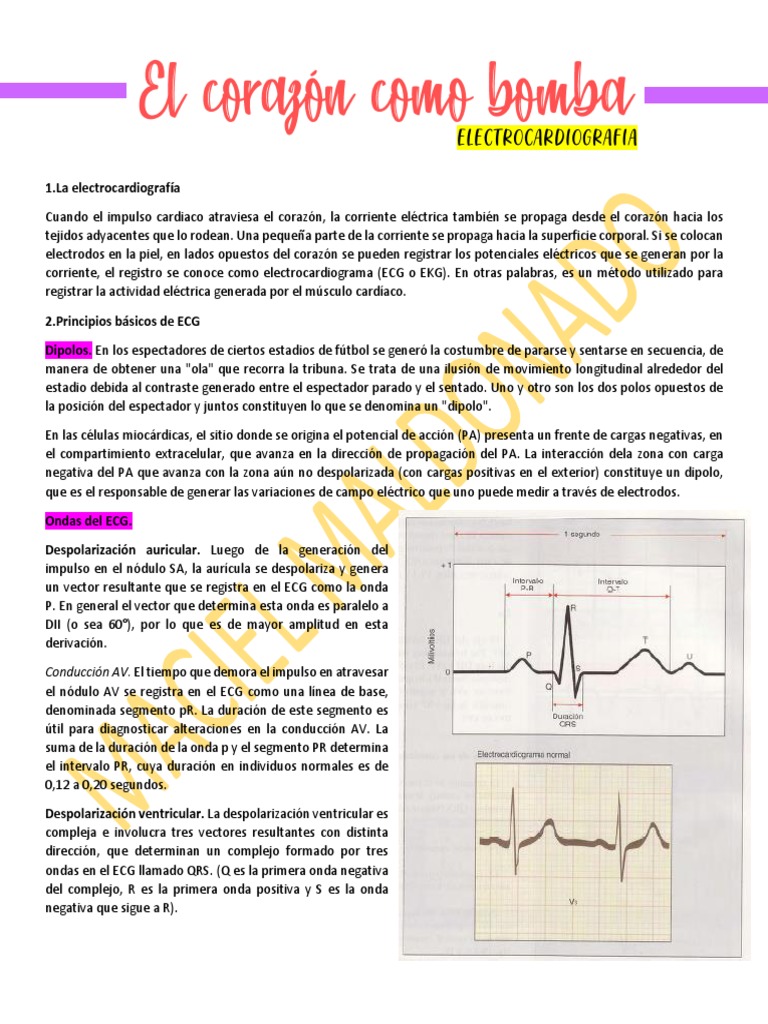 El Corazon Como Bomba Ecg | PDF | Electrocardiografia | Fisiología ...