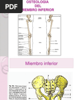 Anatomía del Maléolo Tibial y Astrágalo | PDF | Tobillo | Anatomía del ...