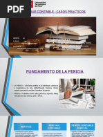 Los Cinco Elementos Fundamentales para El Desarrollo de Una Pericia ...