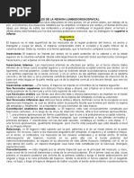 Foramen Ciático Mayor y Menor | PDF | Historia