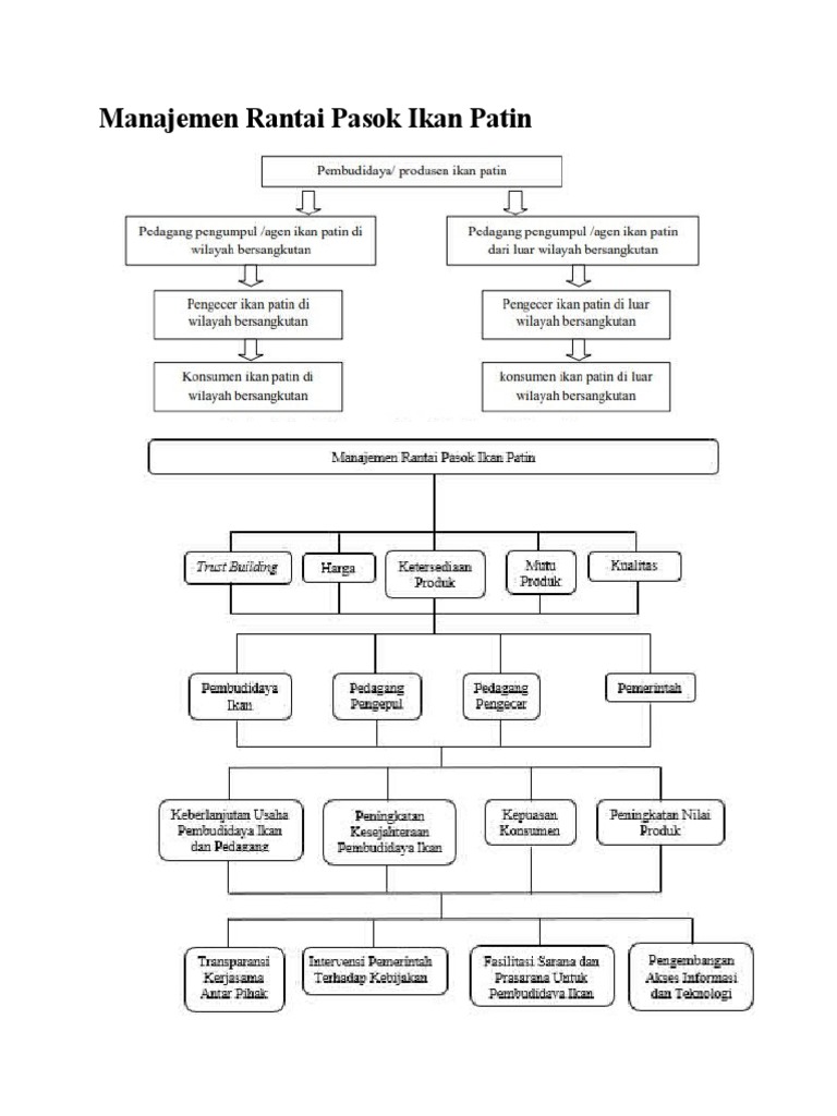 Manajemen Rantai Pasok Ikan Patin | PDF