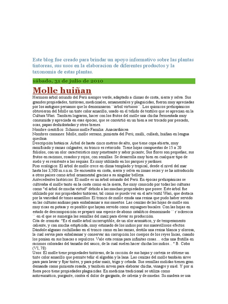 Plantas Tintoreas: Molle y Mullaca | PDF | Papel | Algodón