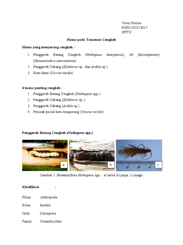 Vivin Herina HPTU 2 | PDF