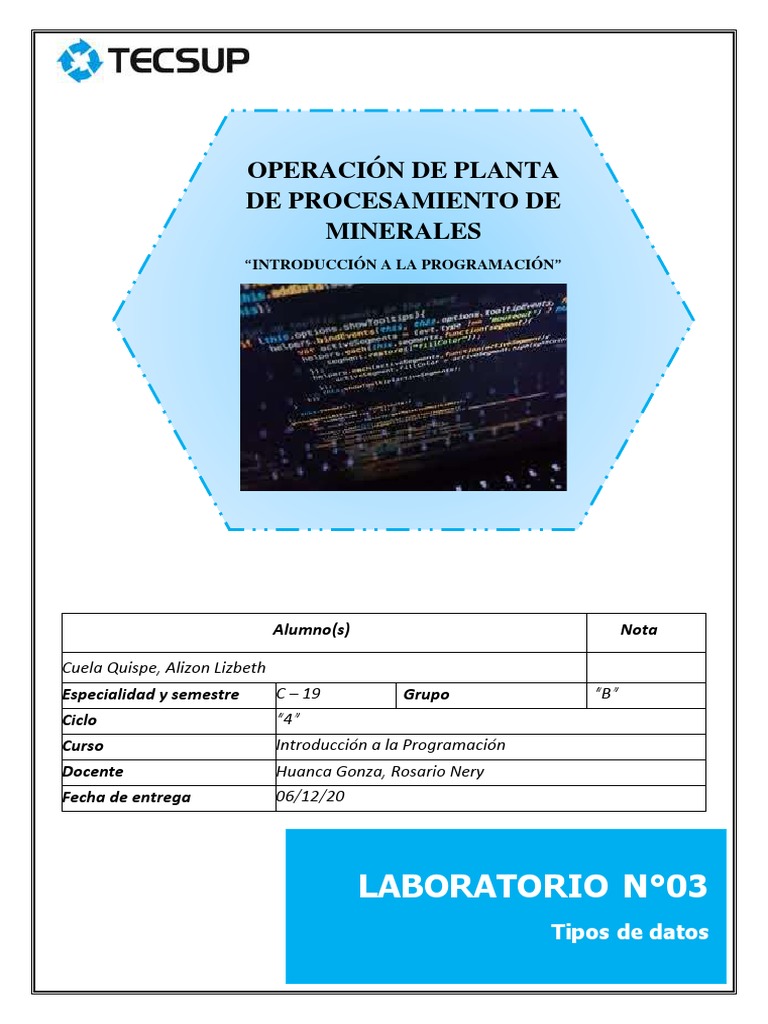 Laboratorio N°3 Tipos de Datos - Alizon Cuela | PDF | Tipo de datos | Python (lenguaje de ...