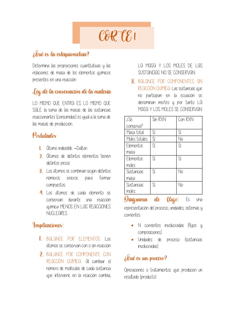 Resumen Estequio | PDF | Humedad | Combustión